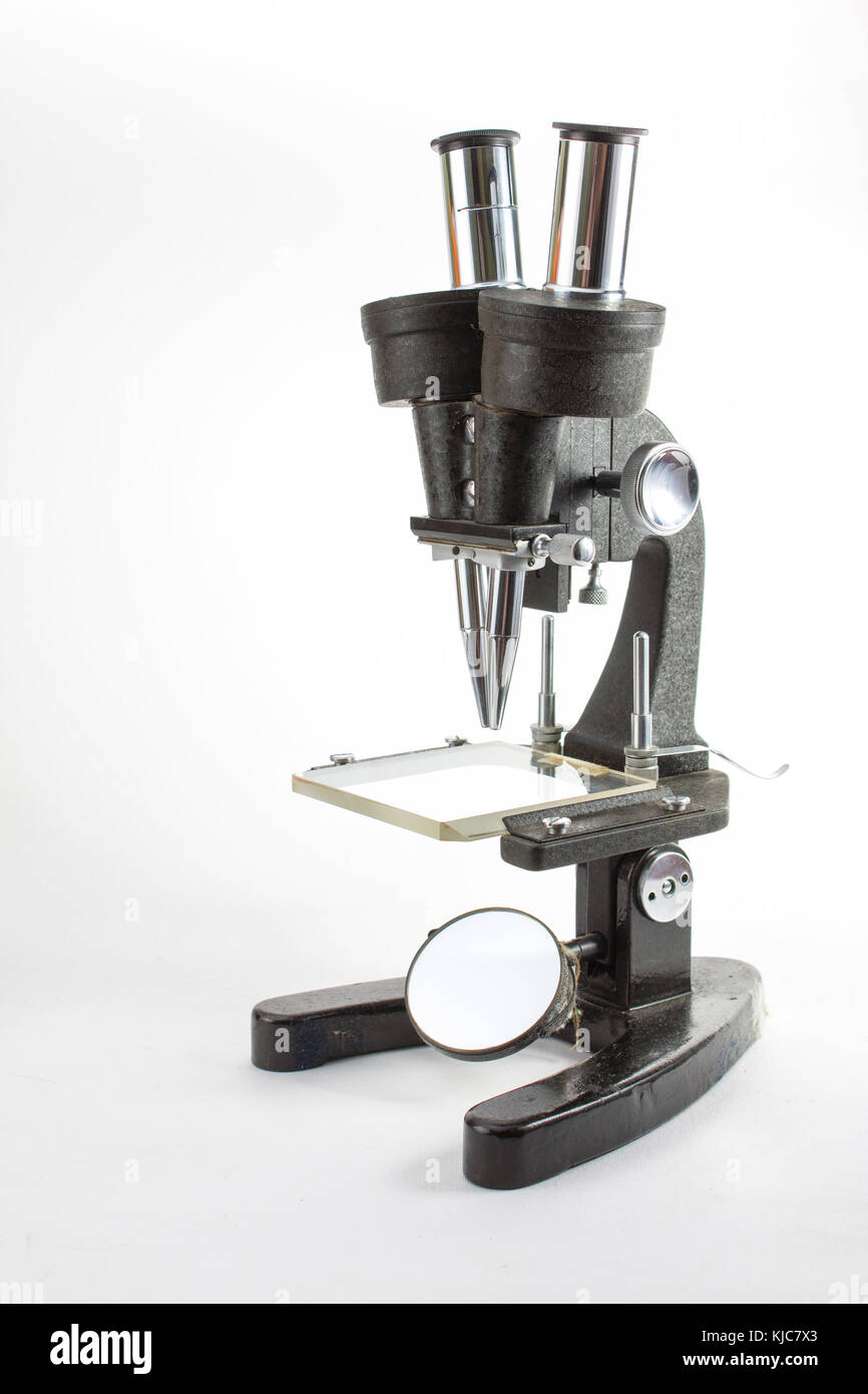 Biology objects hi-res stock photography and images - Alamy