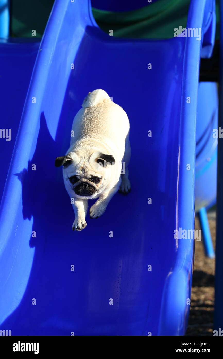 Blue slide hi-res stock photography and images - Alamy