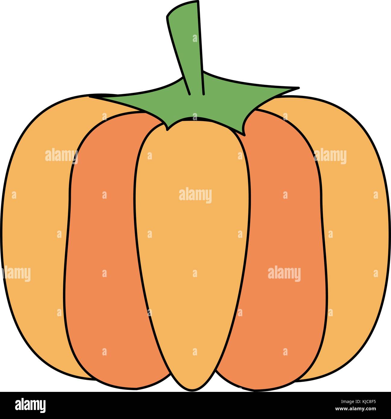 Fresh pumpkin vegetable Stock Vector Image & Art - Alamy