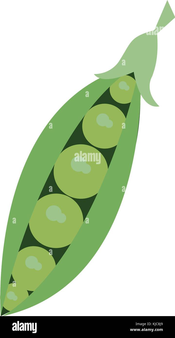 Fresh peas vegetable Stock Vector Image & Art - Alamy