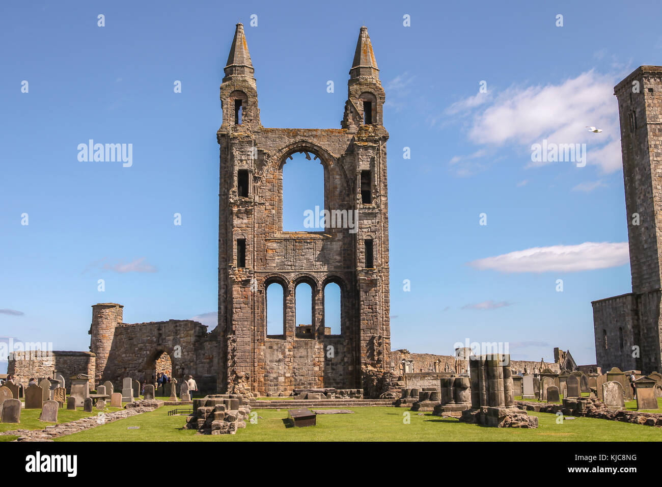 St Andrews Cathedral, St Andrews, Fife, Scotland Stock Photo - Alamy