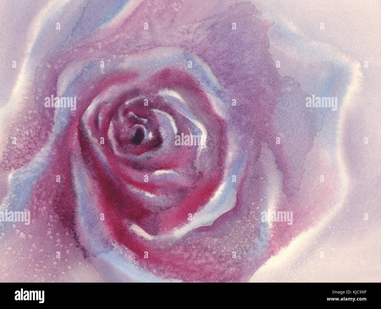 Velvet rose hi-res stock photography and images - Alamy