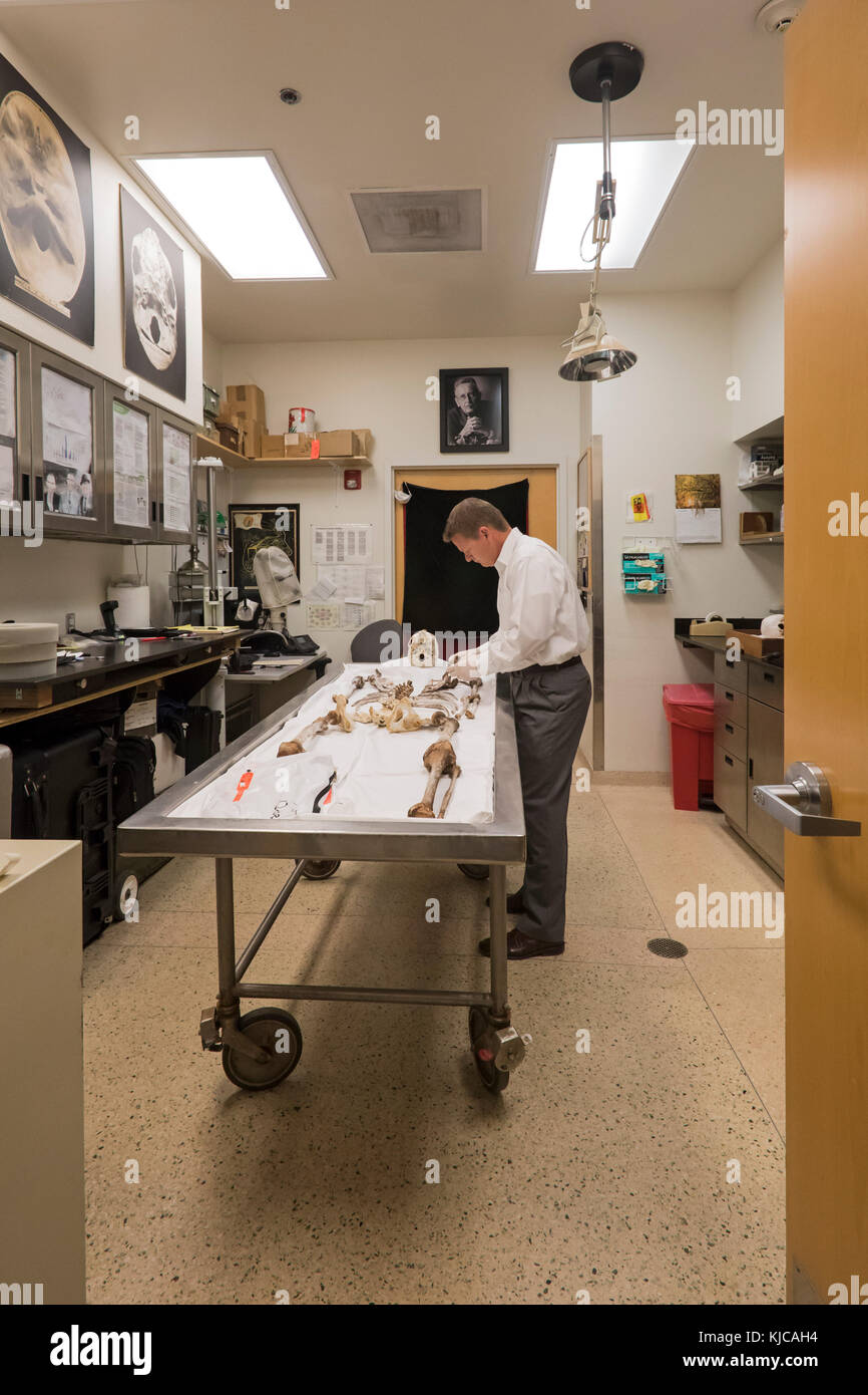 Forensic pathologist hi-res stock photography and images - Alamy