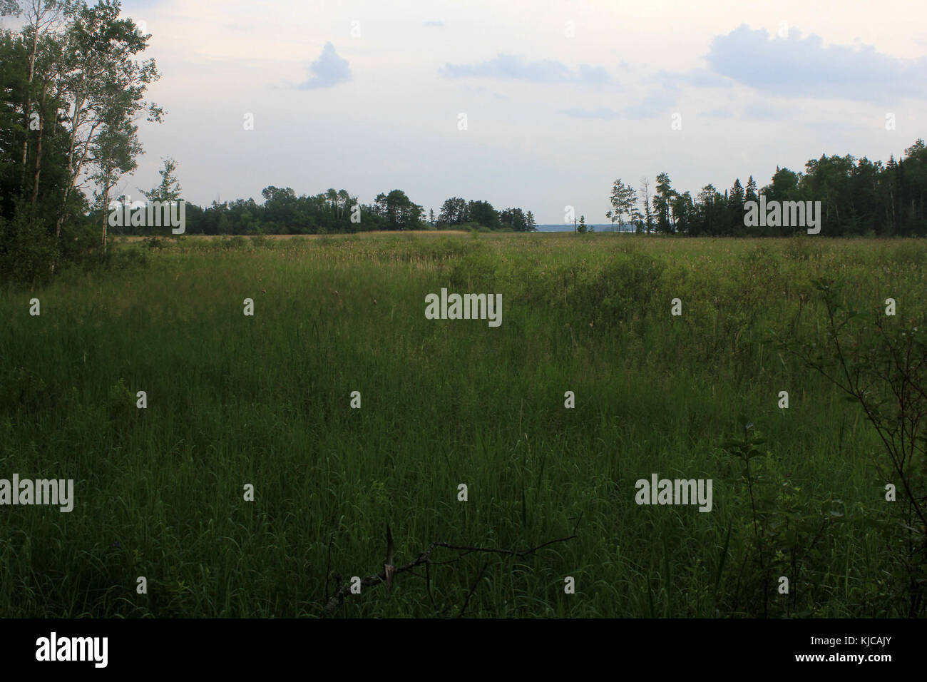 Voyaguers national park hi-res stock photography and images - Alamy