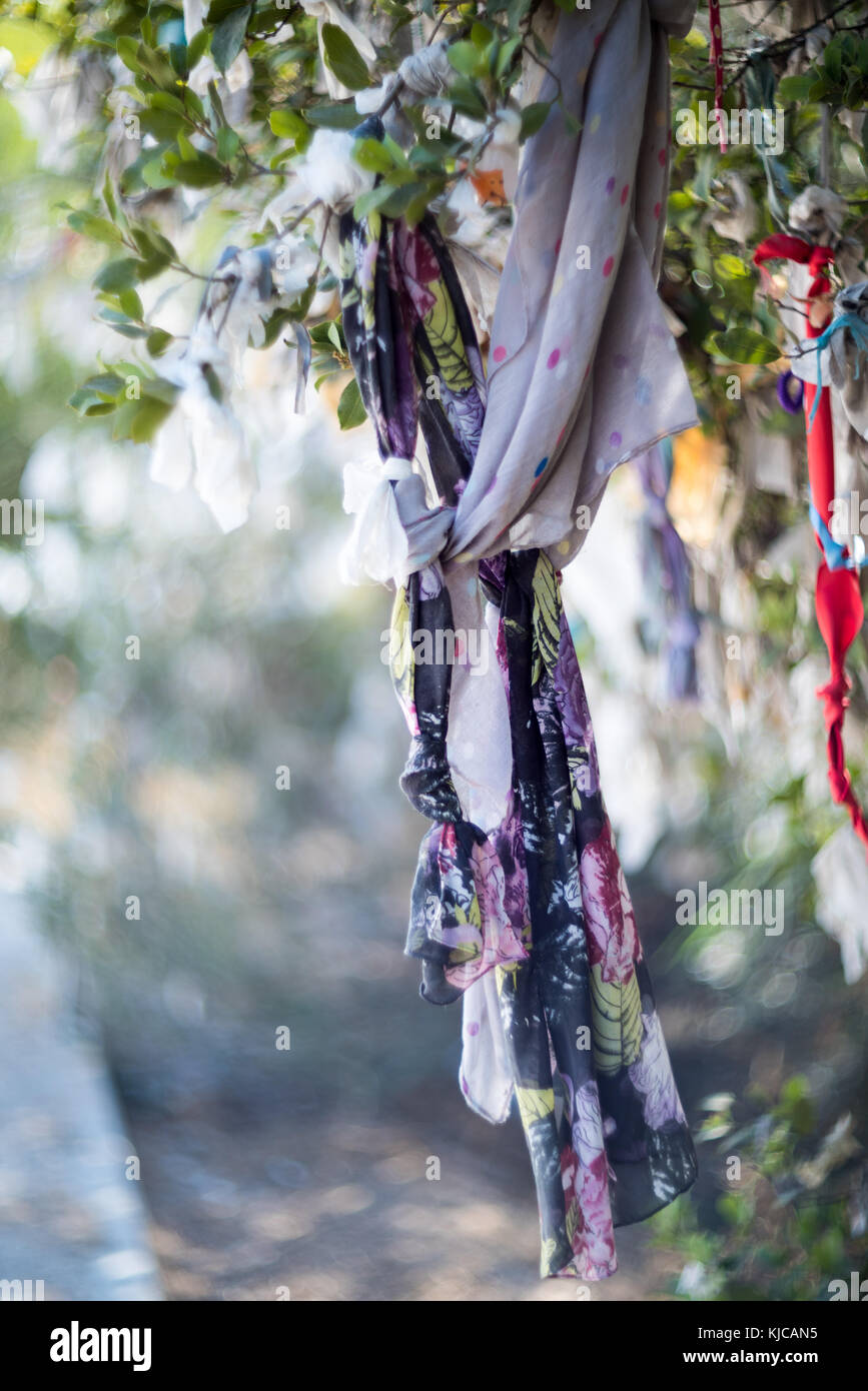 Collection of colourful pieces of cloth tied to a tree close to Hala ...