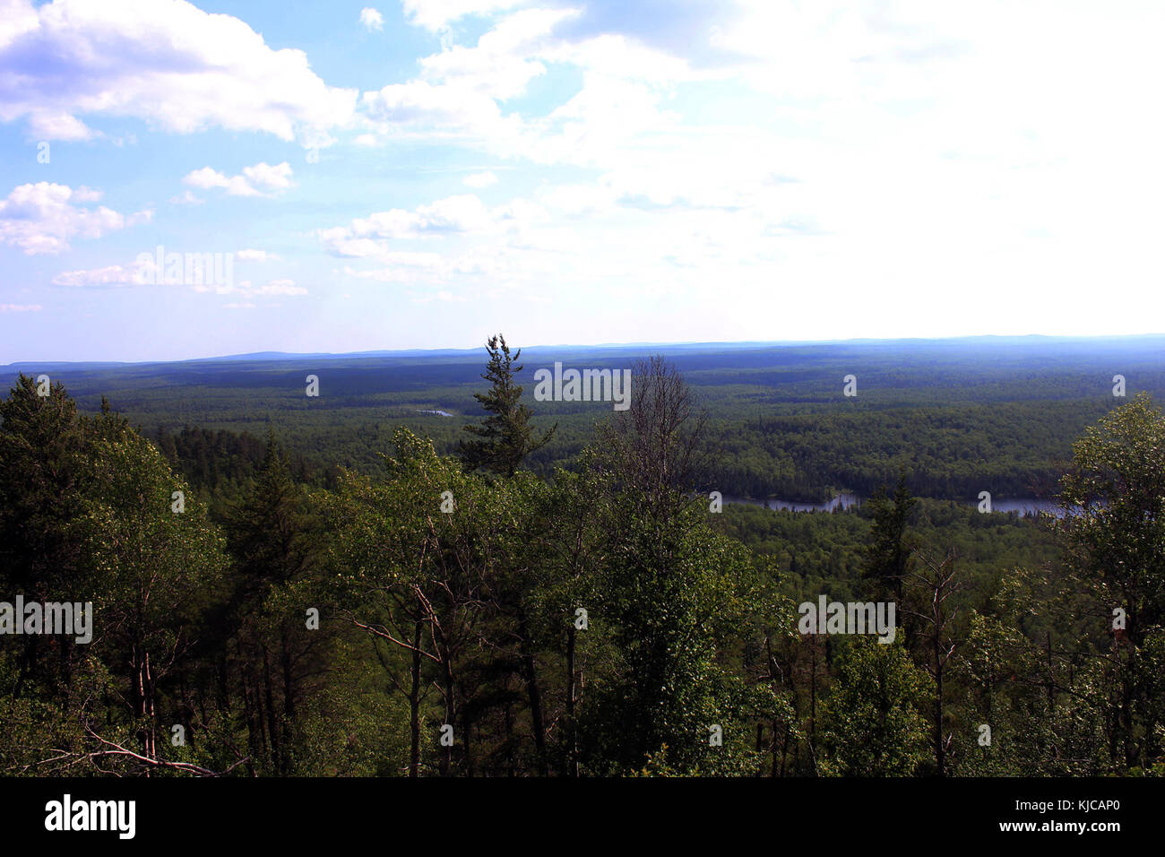 This photograph captures a view of the forest in the Minnesota Superior ...