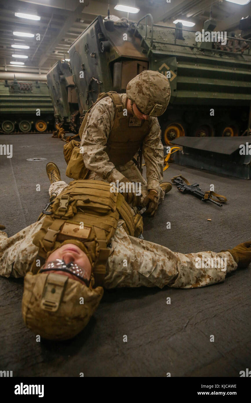 Amphibious assault vehicle crewman hi-res stock photography and images ...