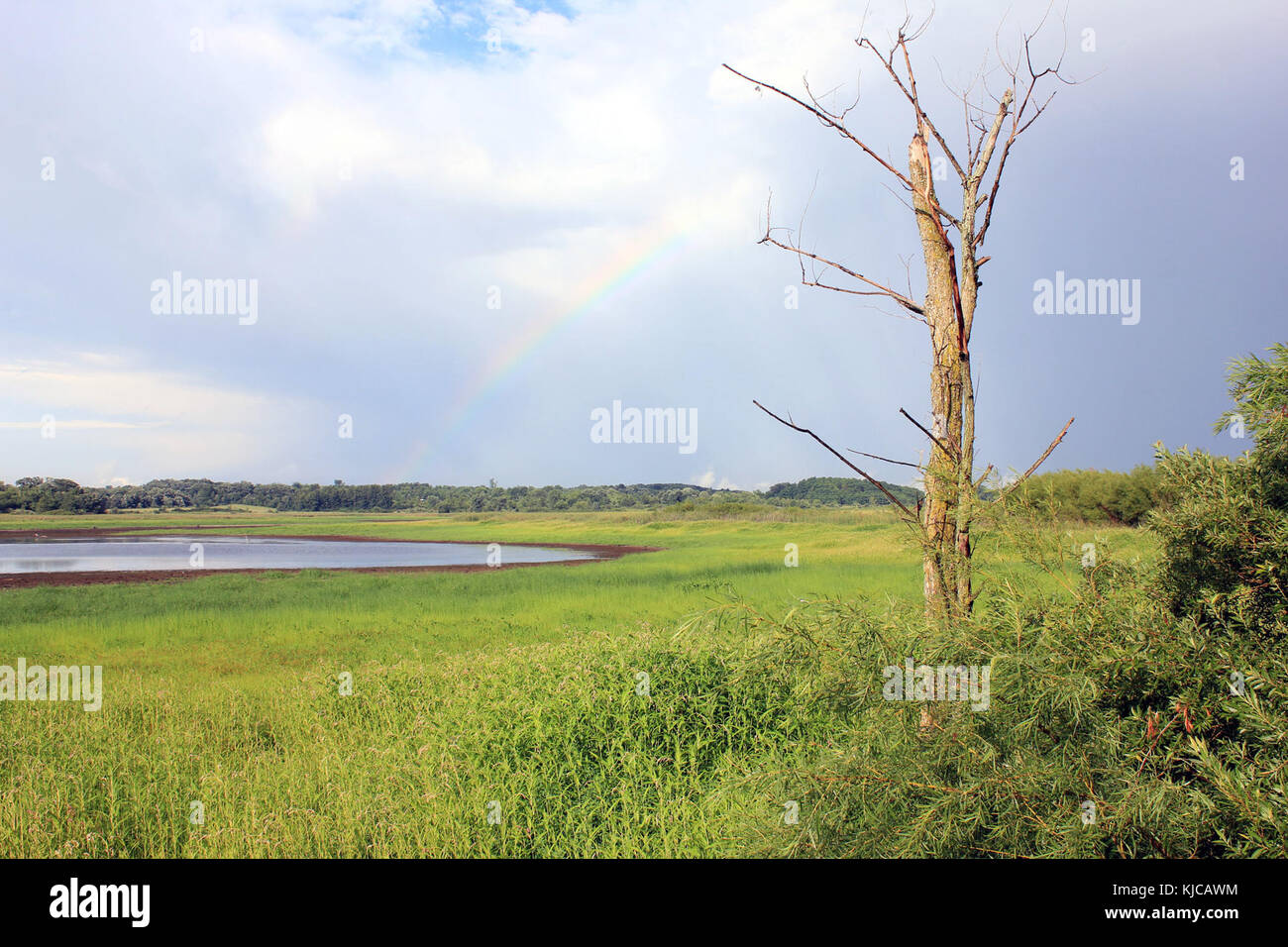 Gfp wisconsin richard bong state recreation area pond with rainbow ...