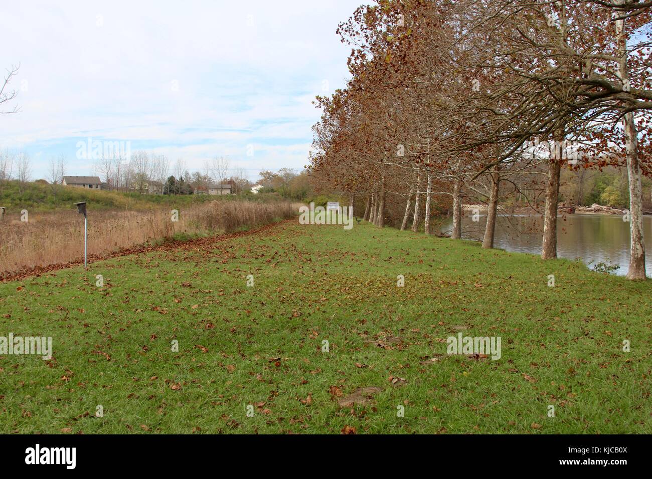 The colors of the autumn season in the month of November Stock Photo ...