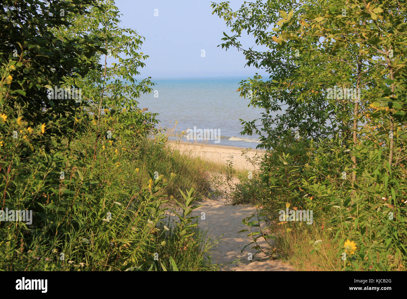 Gfp wisconsin fischer creek state park through the trees Stock Photo ...