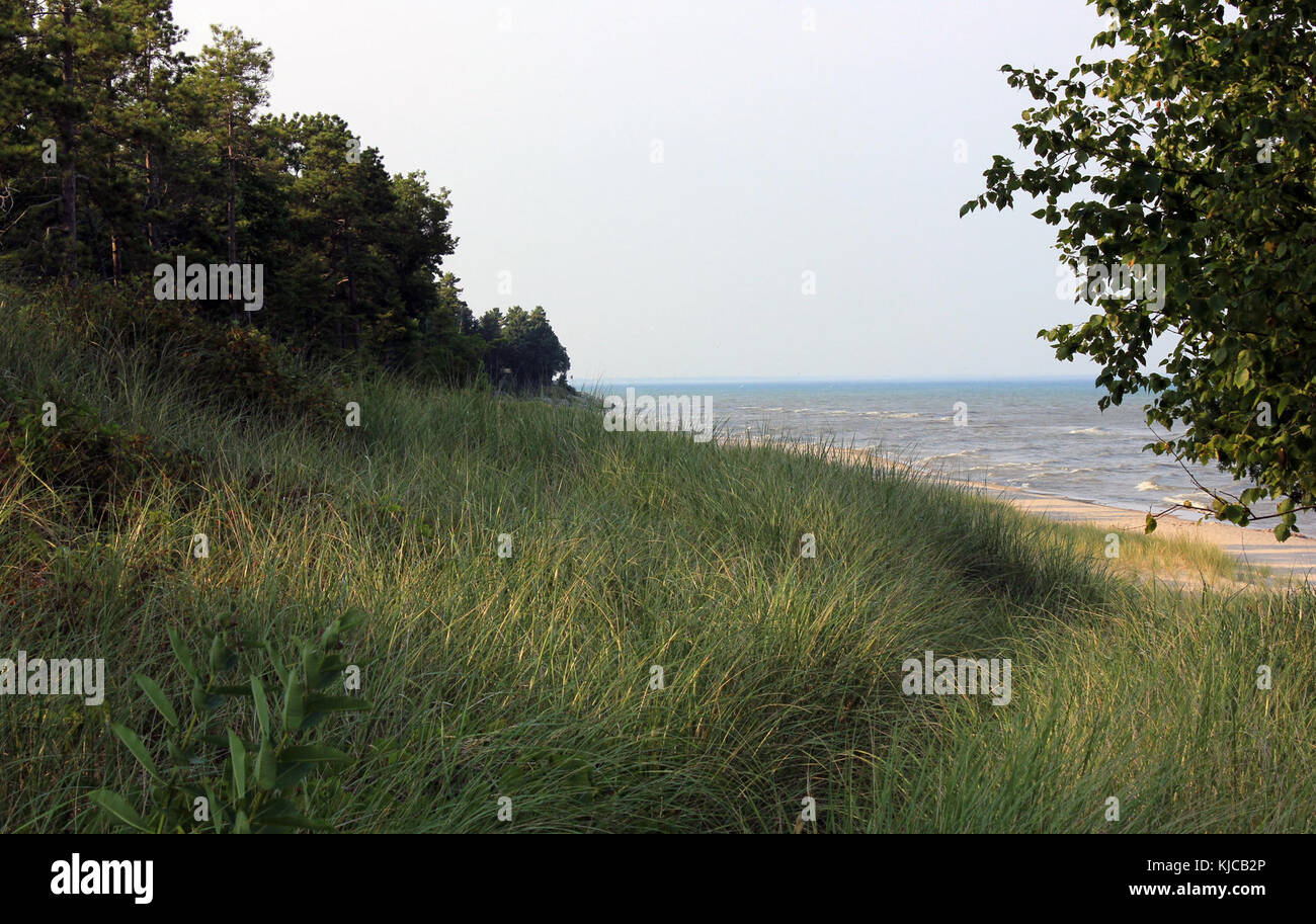 Gfp wisconsin point beach state park shoreline and forest Stock Photo ...