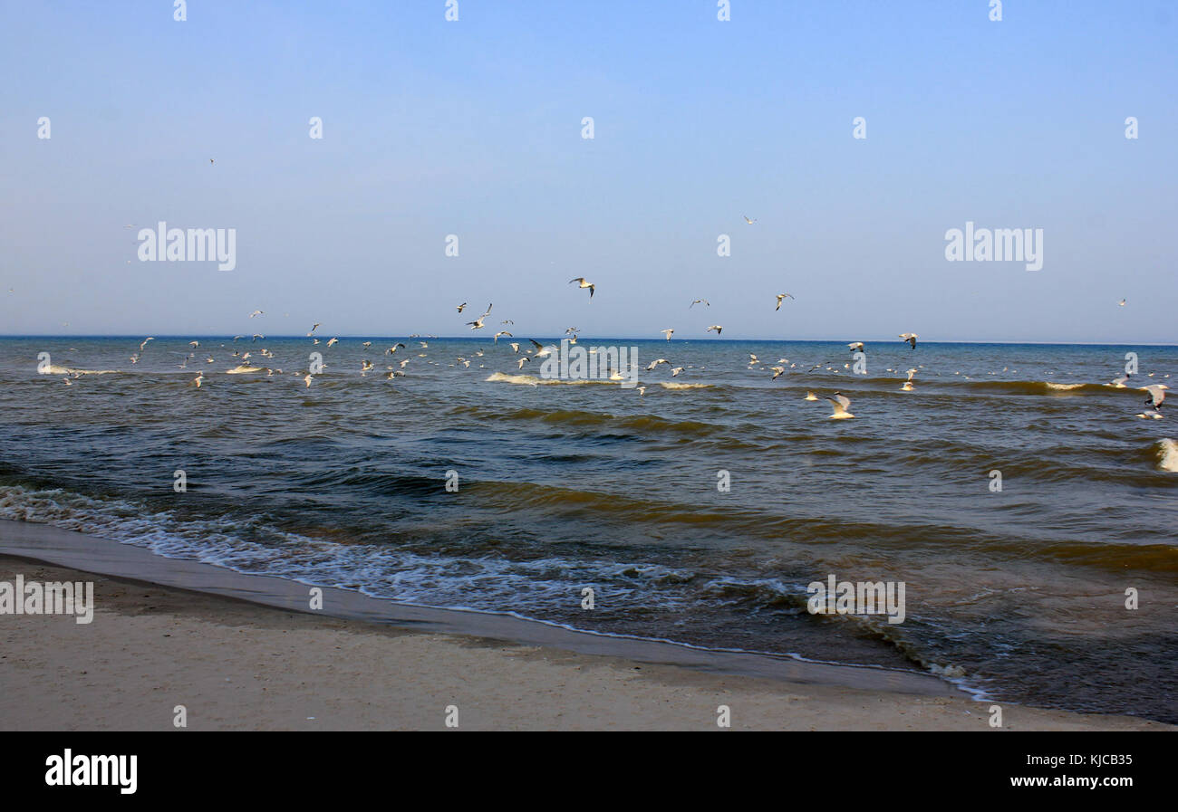 Wisconsin water features hi-res stock photography and images - Alamy