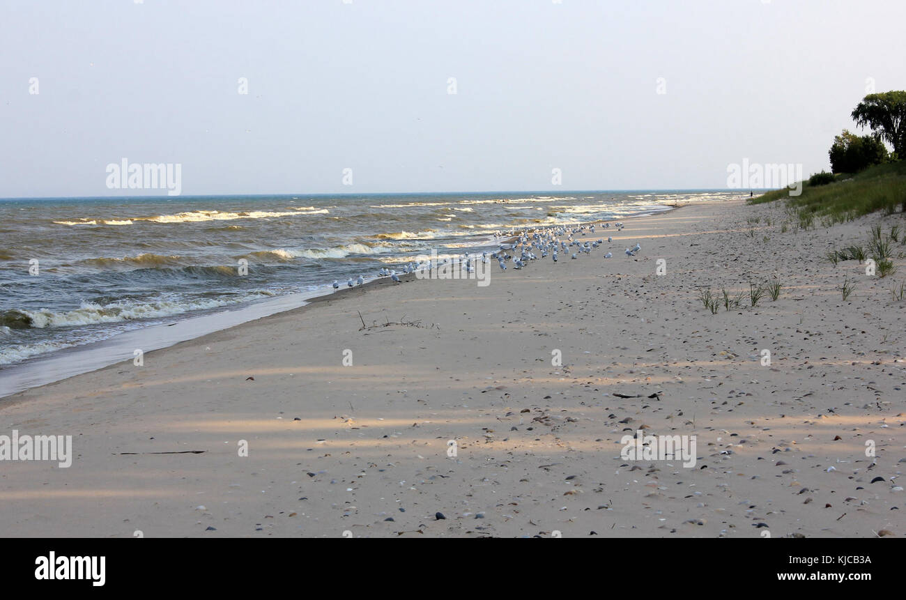 Gfp wisconsin point beach state park more shoreline Stock Photo - Alamy