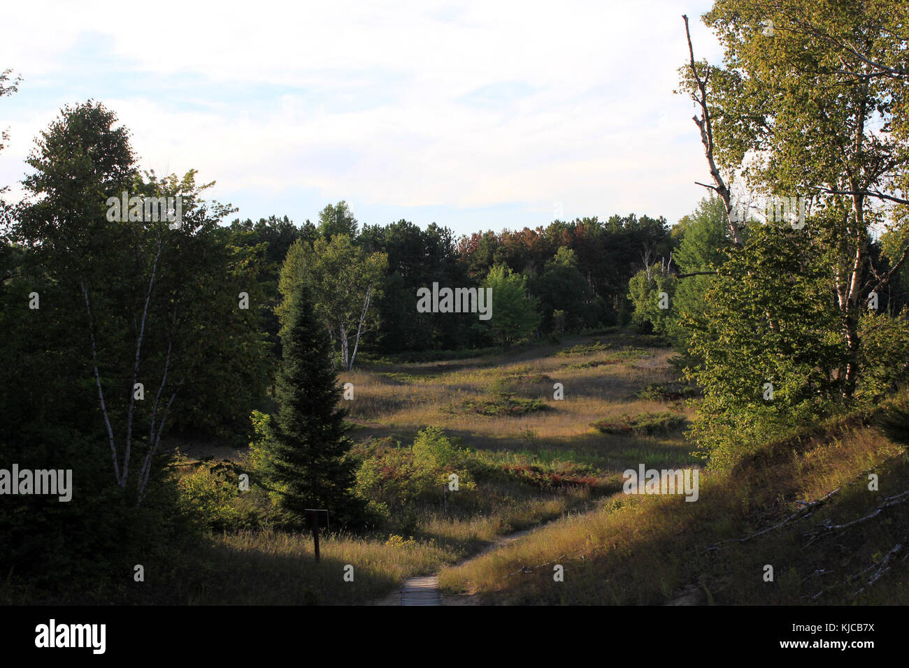 Gfp wisconsin whitefish dunes dune landscape Stock Photo - Alamy