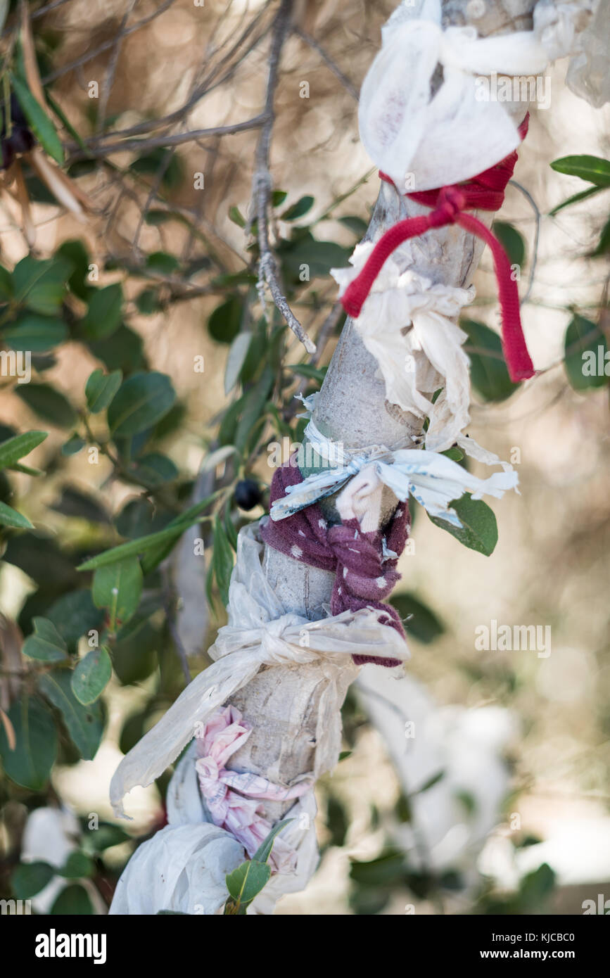 Collection of colourful pieces of cloth tied to a tree close to Hala ...