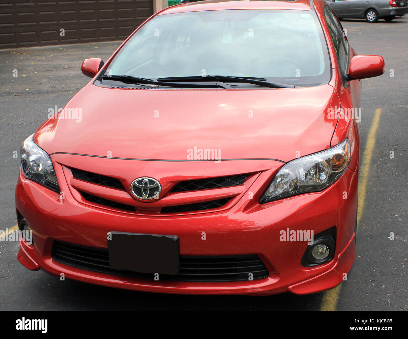 Gfp red corolla Stock Photo - Alamy