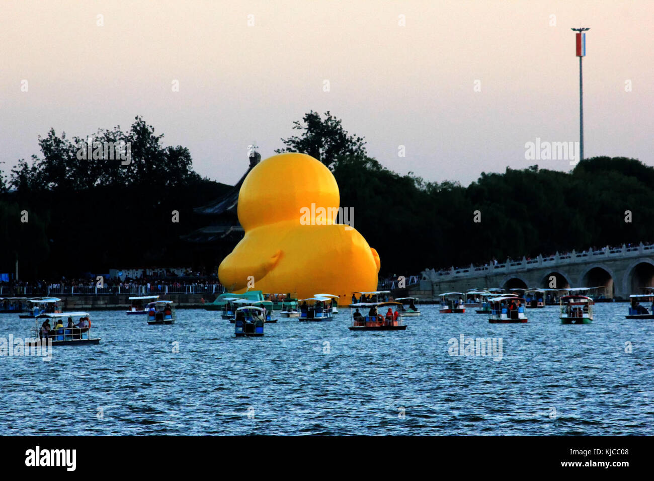 Gfp beijing summer garden palace large duck rear end on lake Stock ...