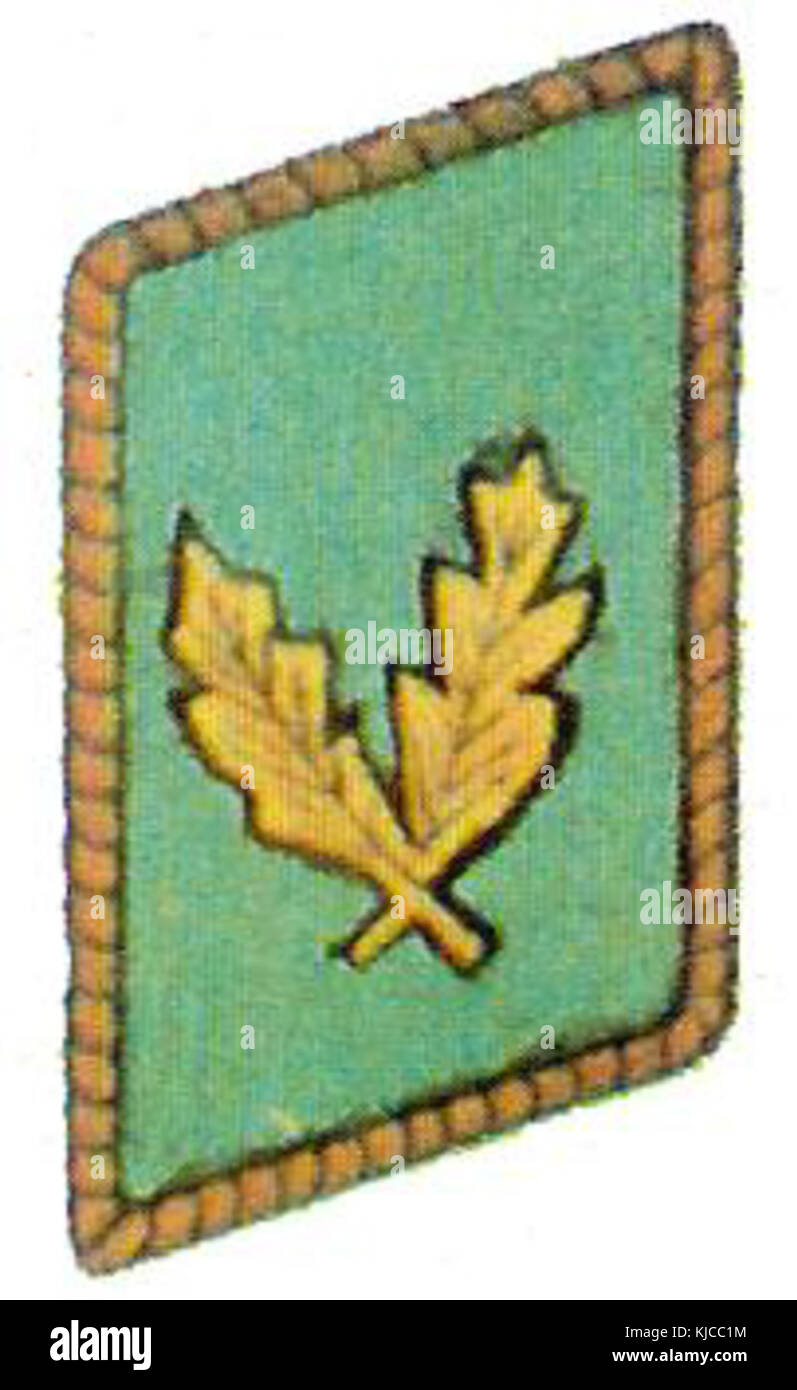 Military rank insignia Cut Out Stock Images & Pictures - Alamy