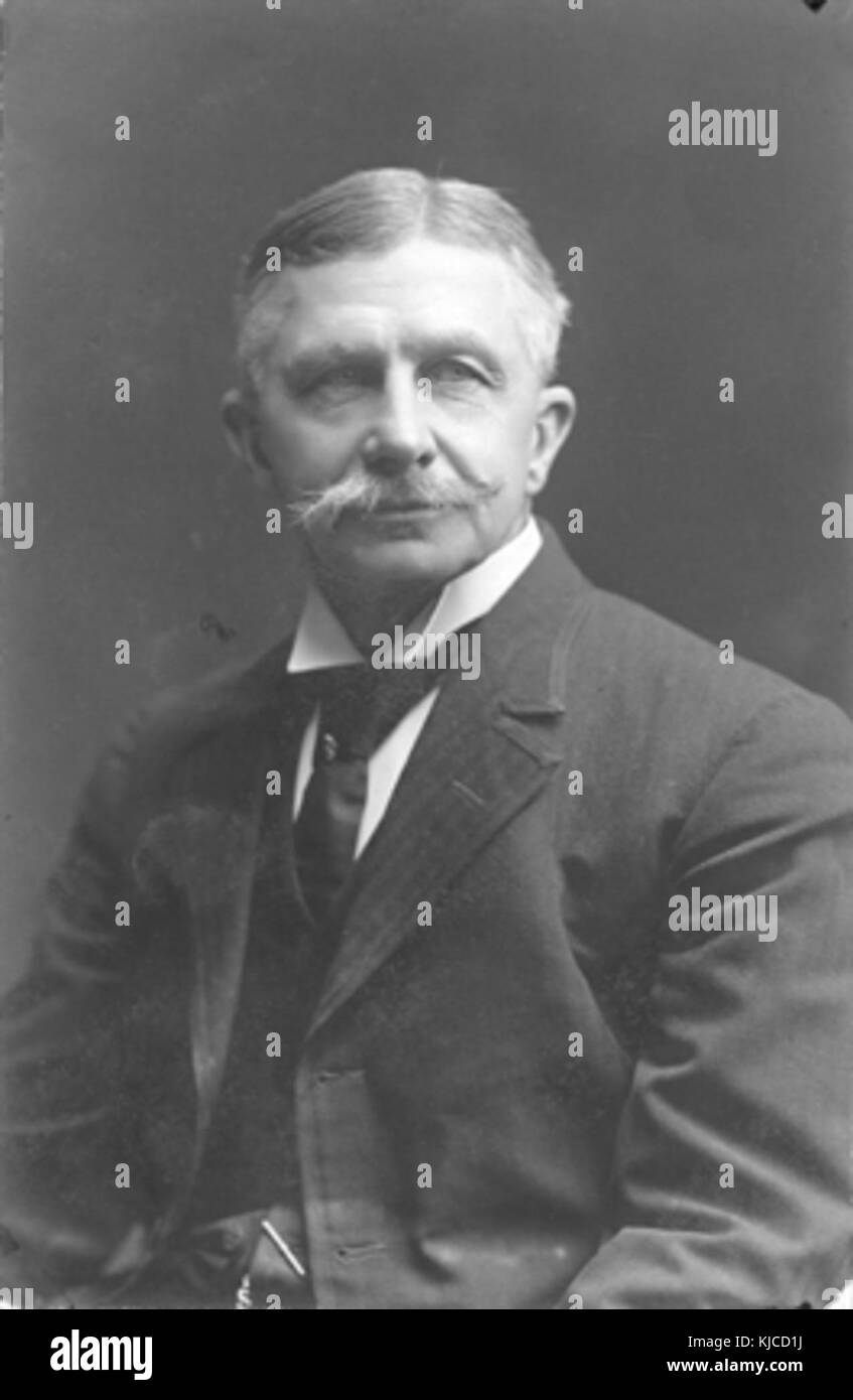 Forestry expert hi-res stock photography and images - Alamy