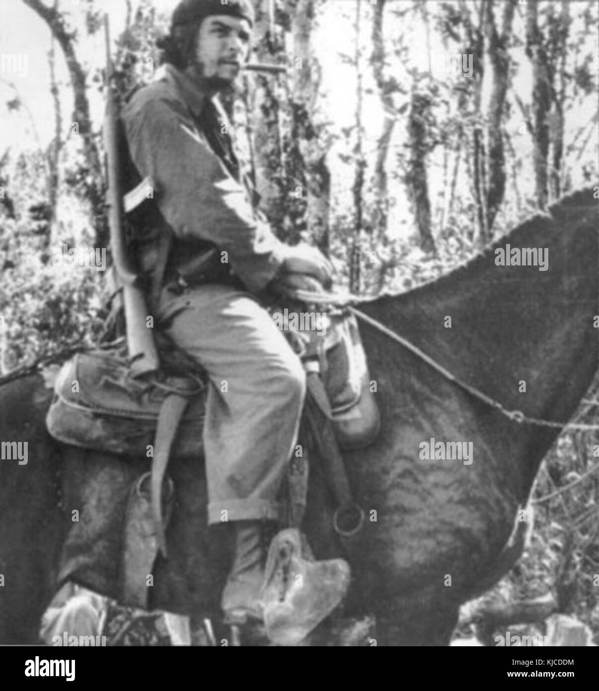 Che on Mule in Las Villas Nov 1958 Stock Photo - Alamy