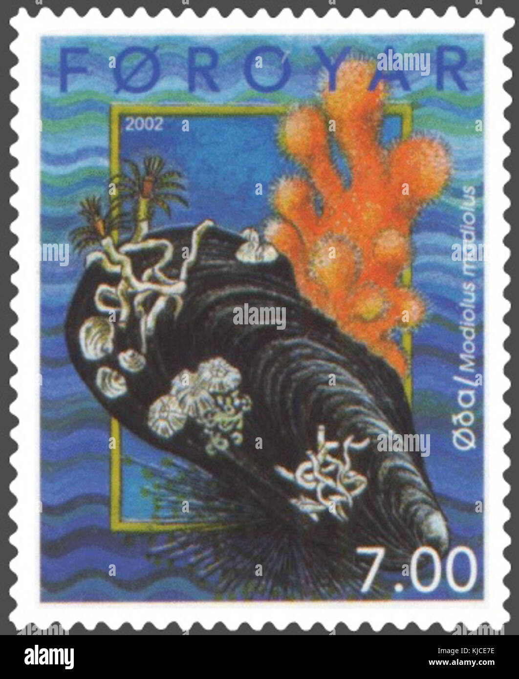 Faroe stamp 410 horse mussel Stock Photo - Alamy