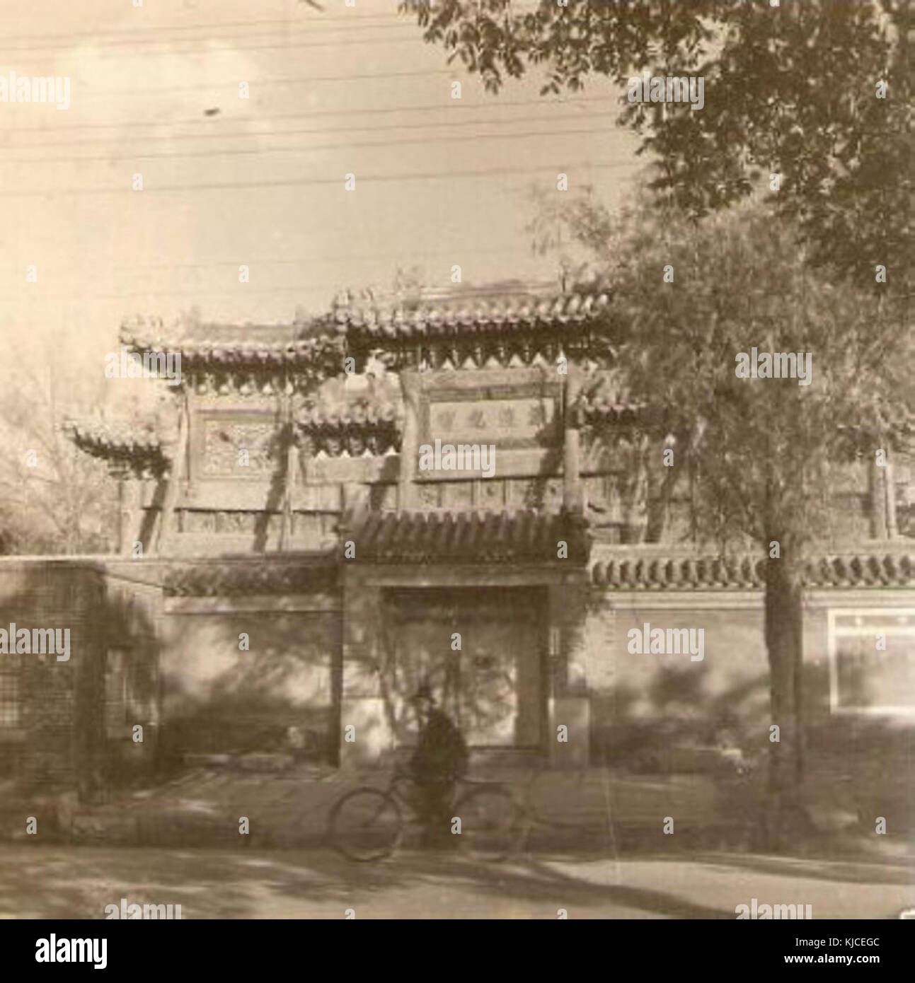 Fuyou hi-res stock photography and images - Alamy