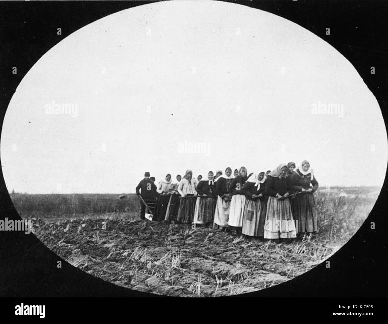 Doukhobor women pulling a plough Thunder Hill Colony Manitoba Stock ...