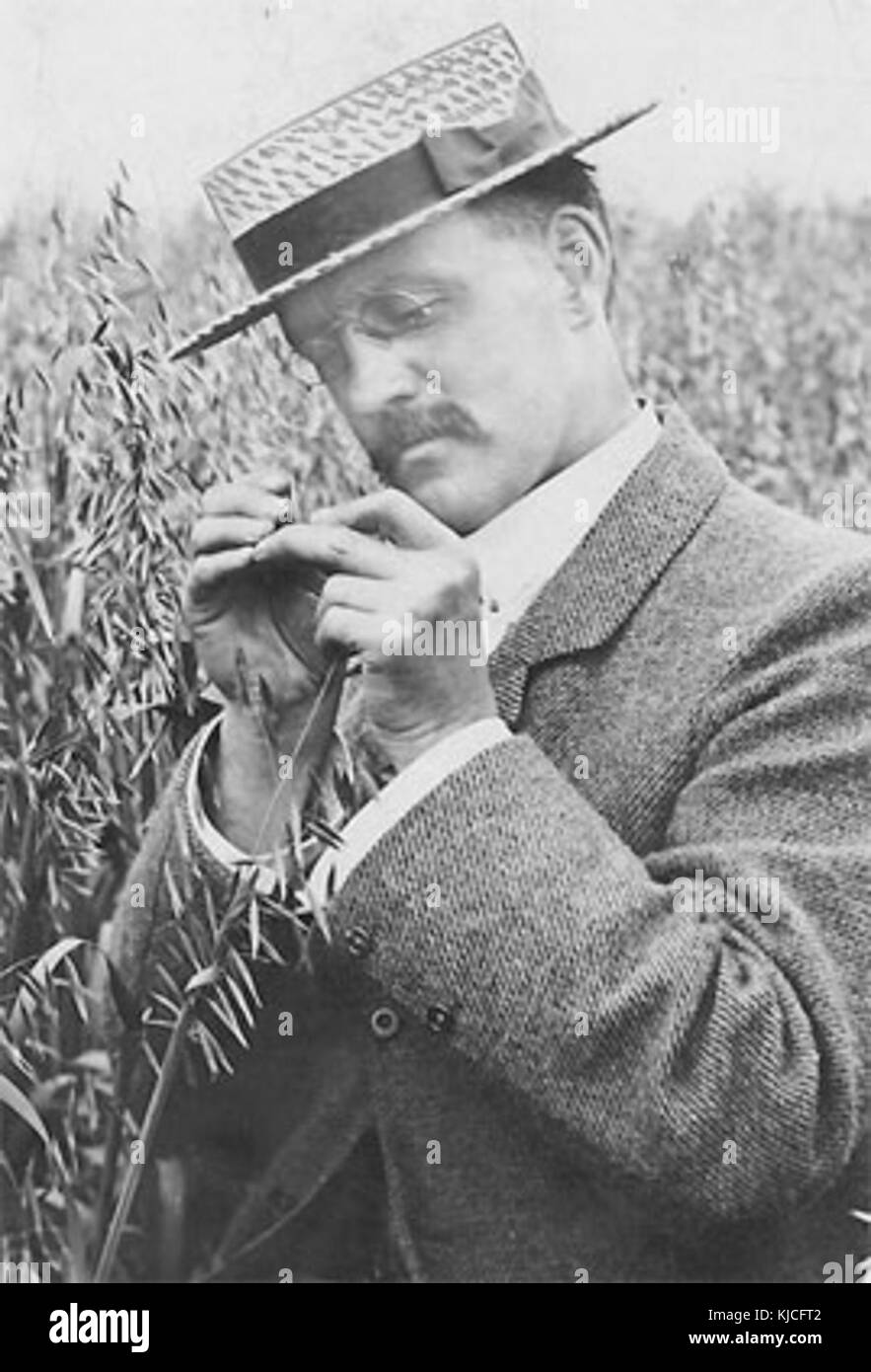 John Garton reduced 2 Stock Photo - Alamy