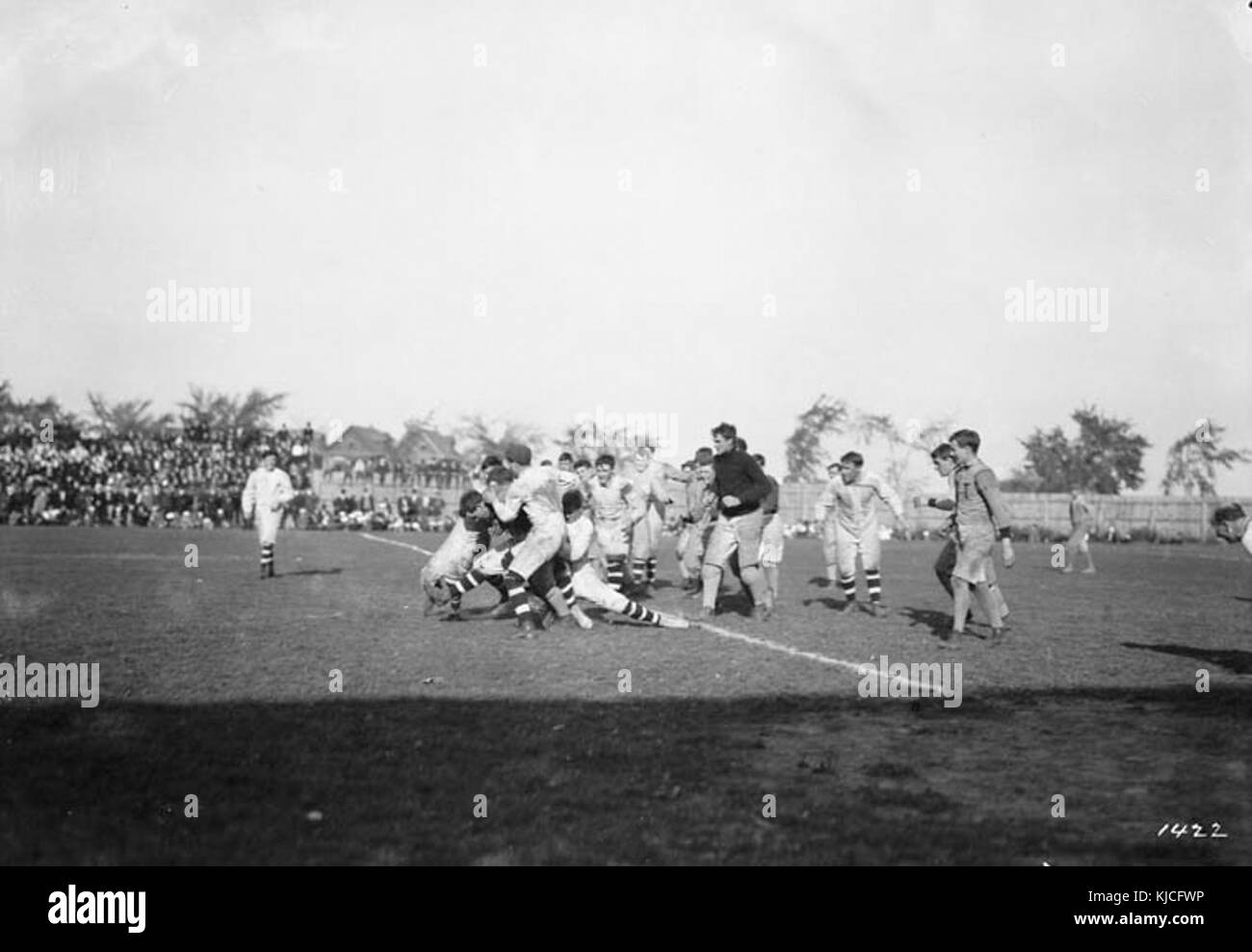 Hamilton tigers hi-res stock photography and images - Alamy