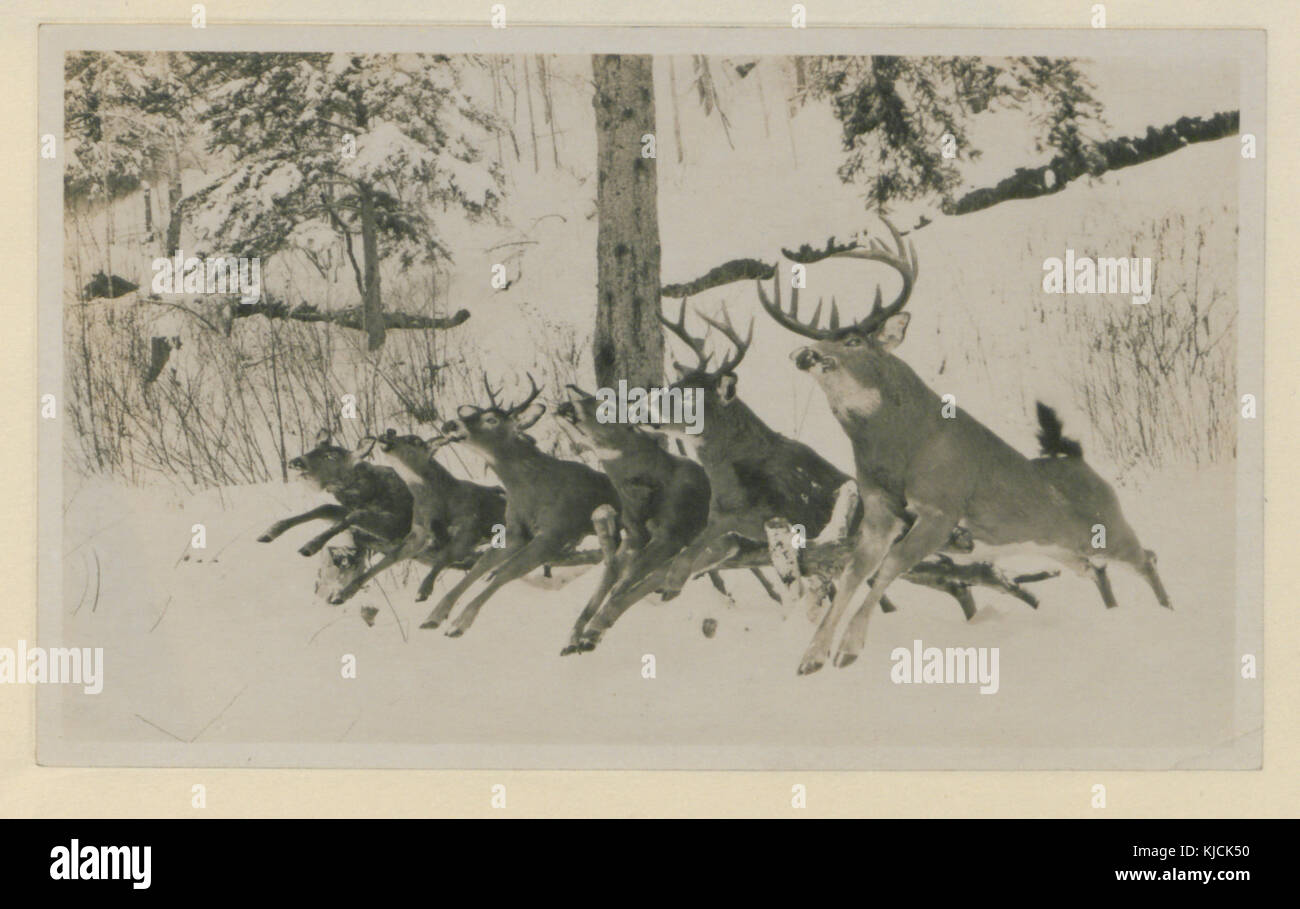 Where (HS85 10 39805 Stock Photo - Alamy