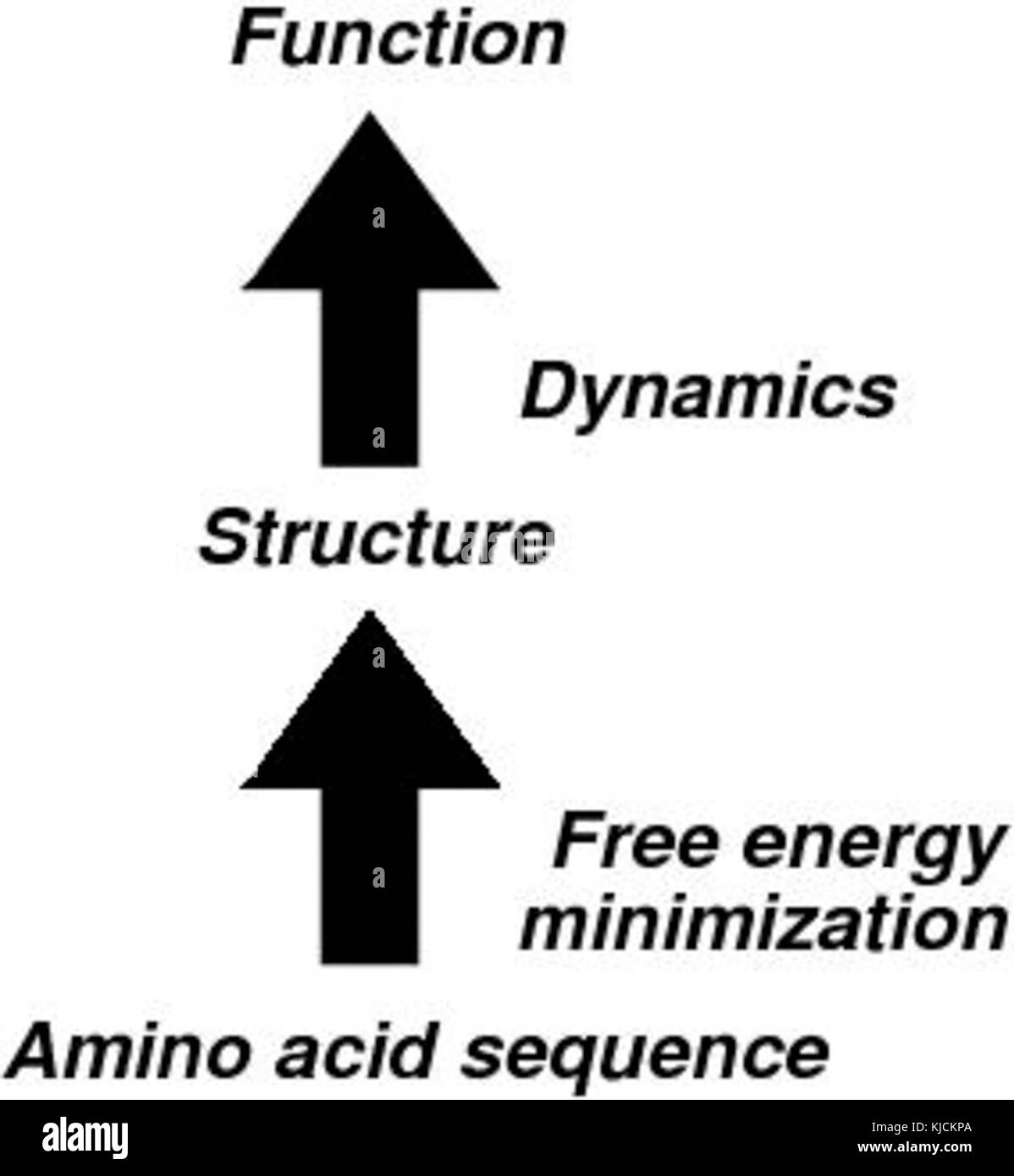 Aa structure function Stock Photo - Alamy