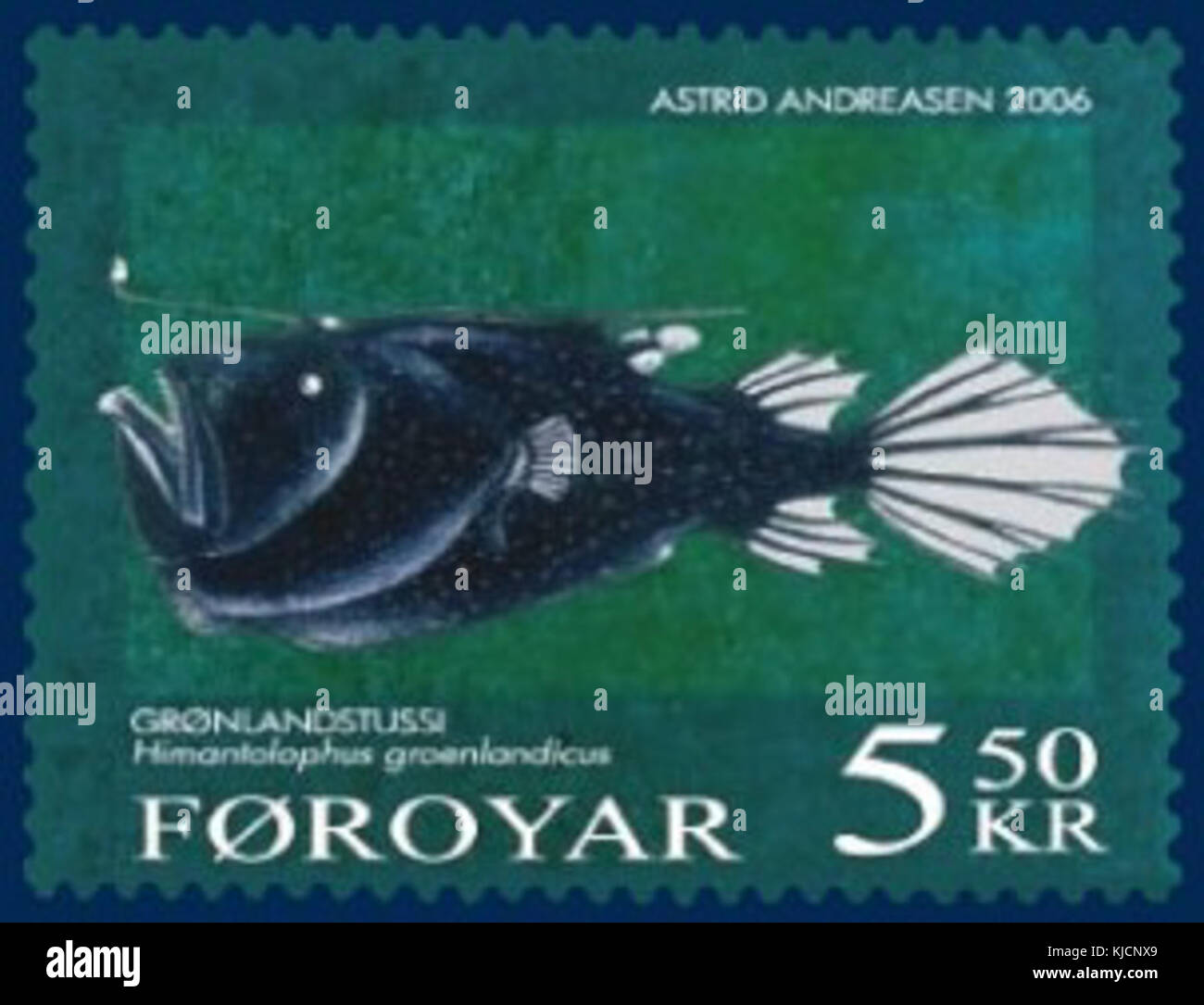 Atlantic Football Fish