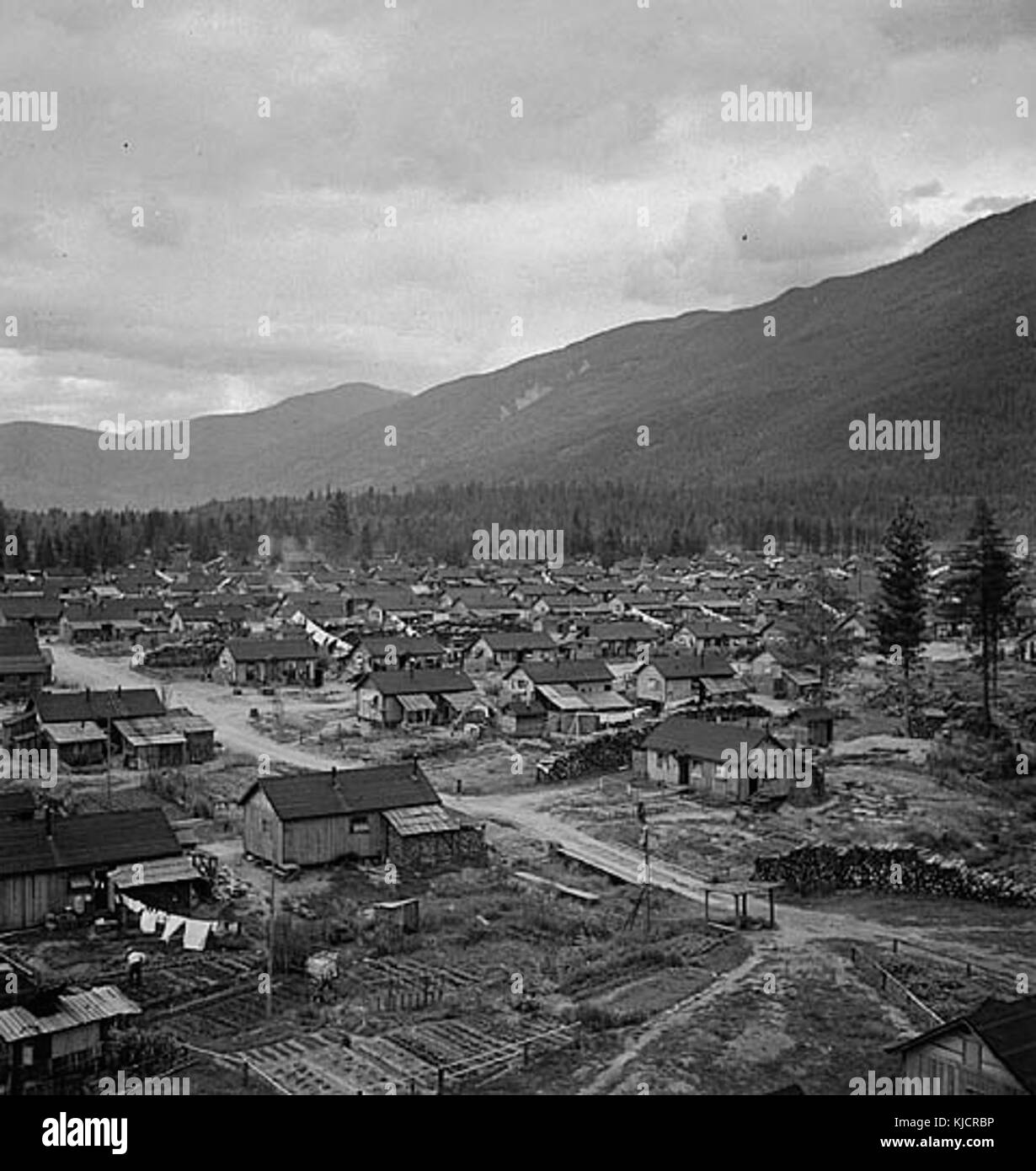 A historical photograph or document showing a Japanese internment camp ...