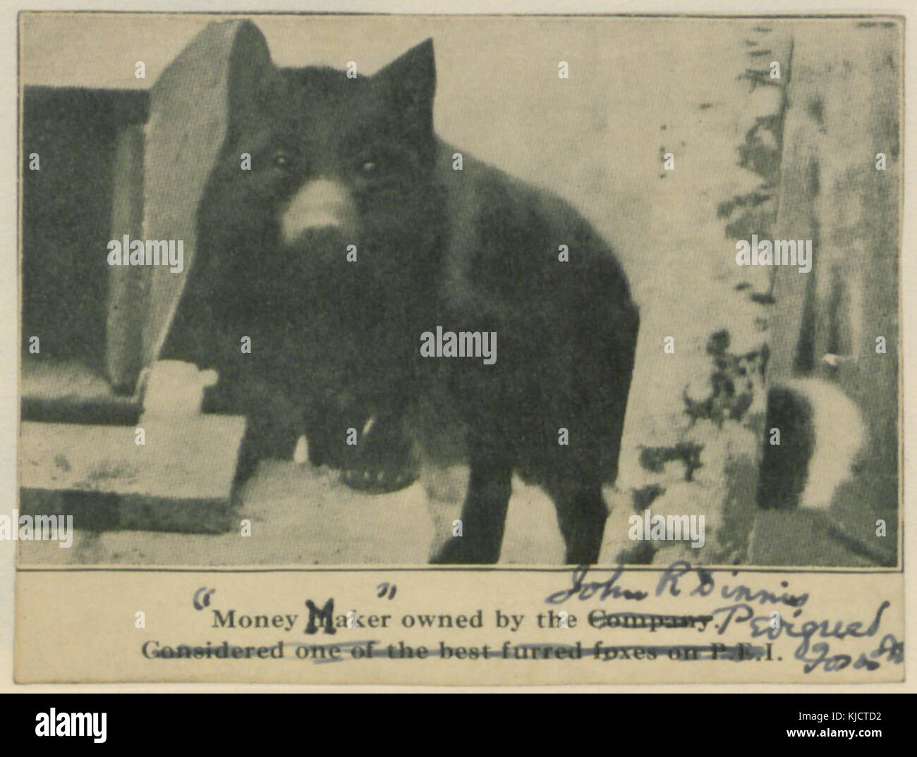 John r fox hi-res stock photography and images - Alamy