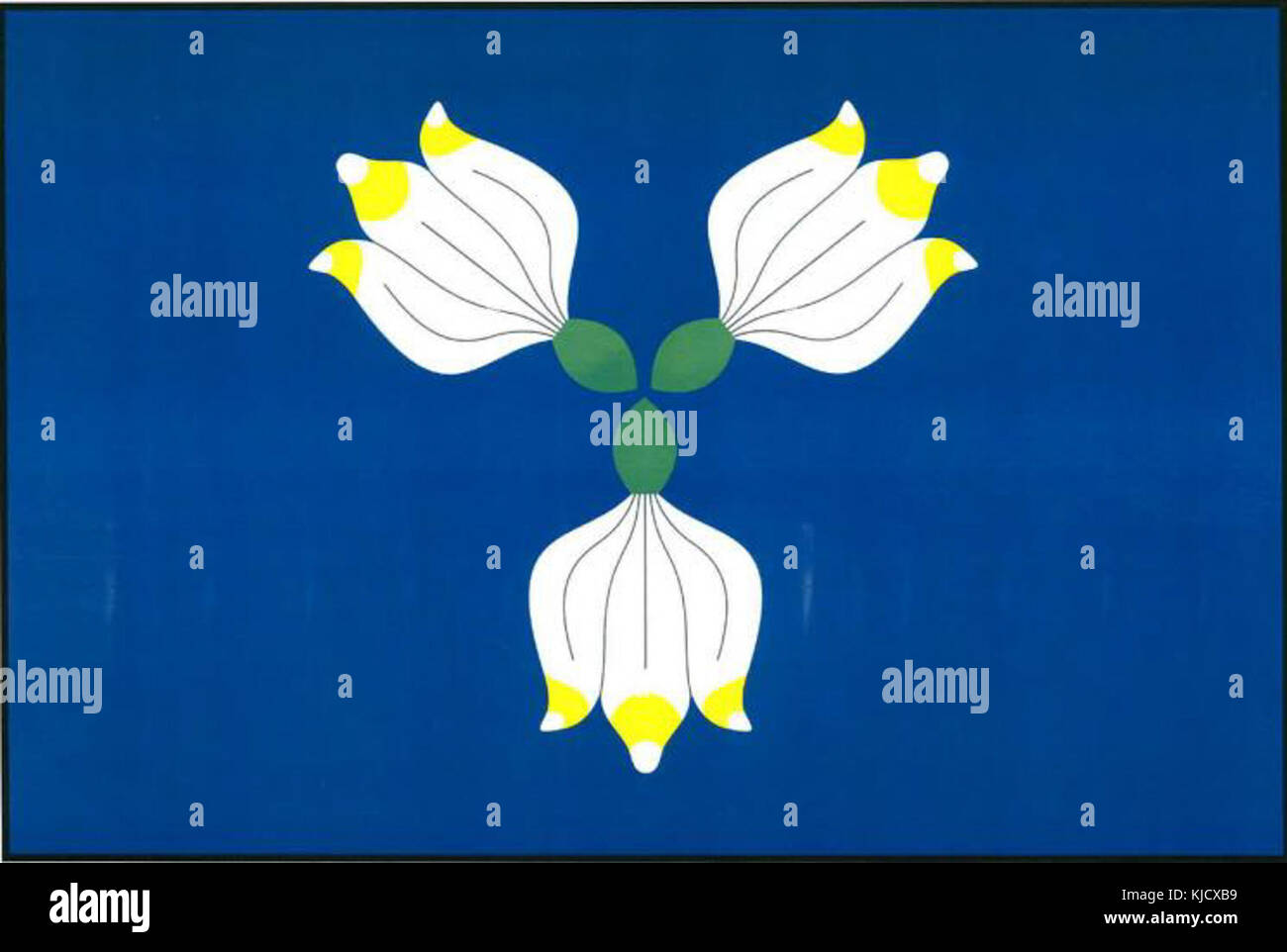 Tasovice BK flag Stock Photo - Alamy