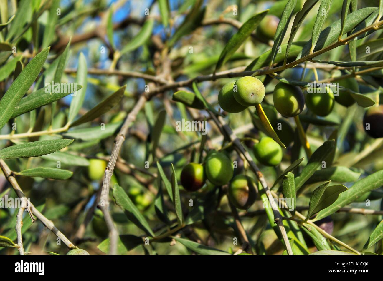 Chelva, spain hi-res stock photography and images - Alamy