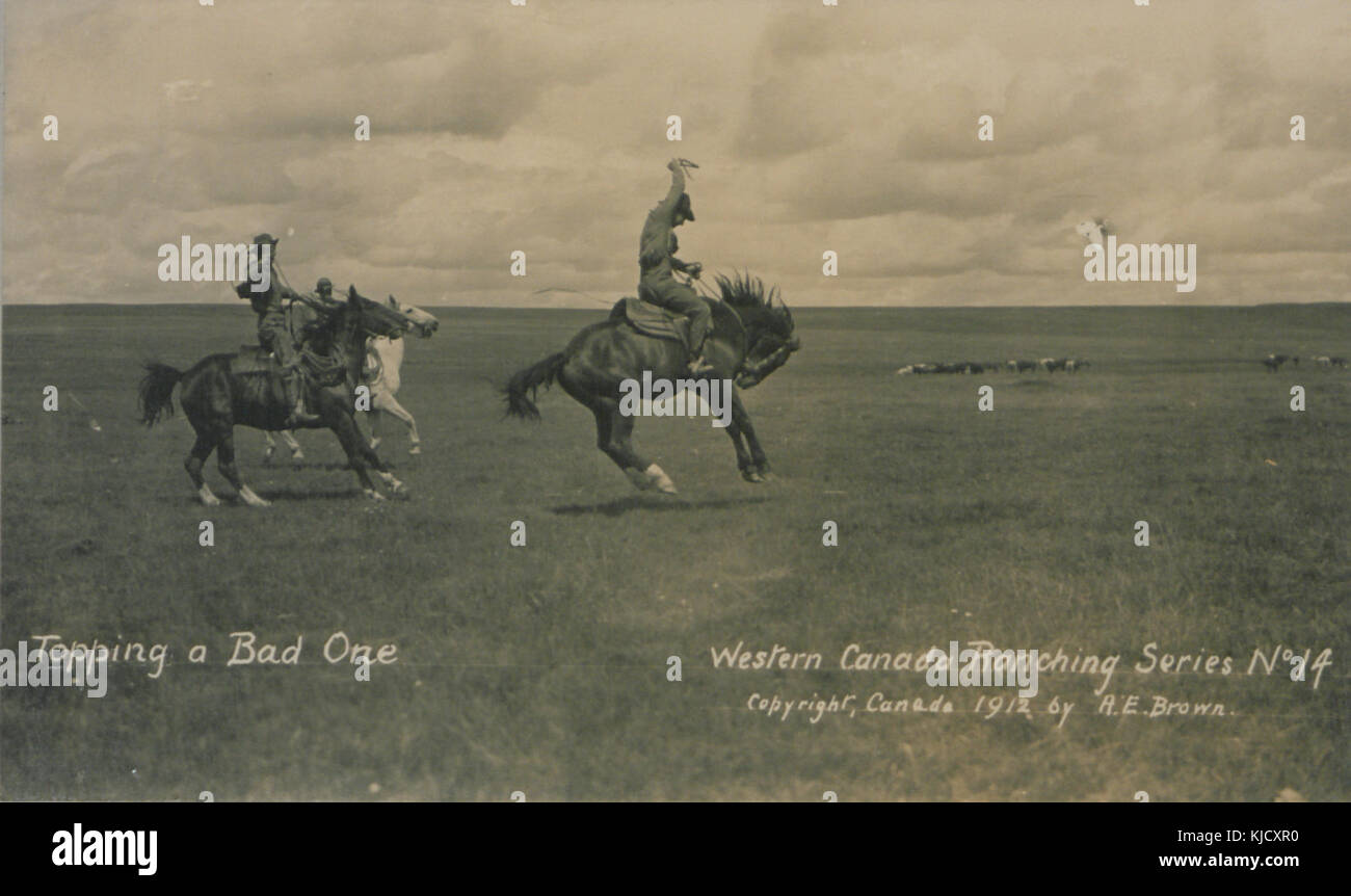 This image is part of a Western Canada ranching series, depicting a ...