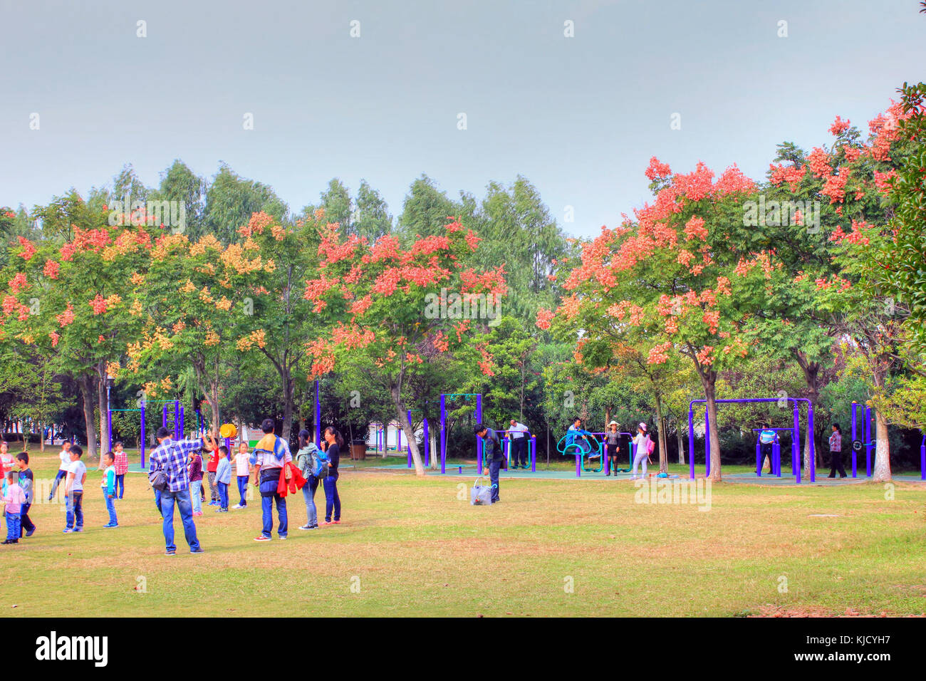 Flora urban view in china hi-res stock photography and images - Alamy
