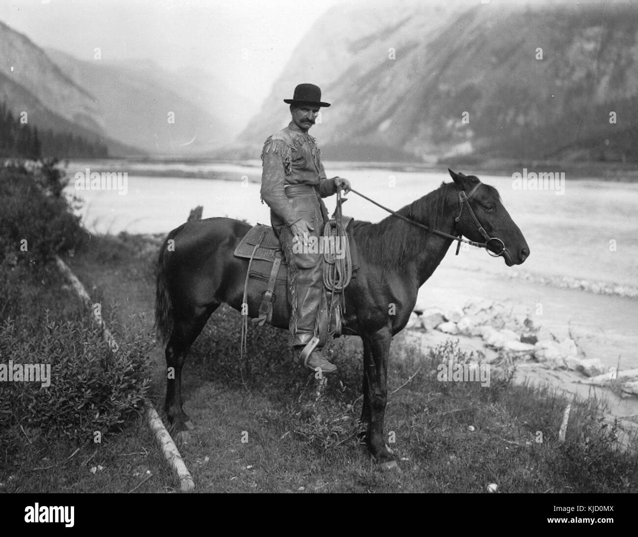 Field horse work Black and White Stock Photos & Images - Alamy