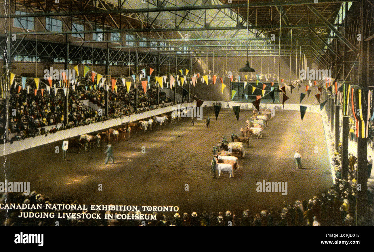 Coliseum interior hi-res stock photography and images - Alamy