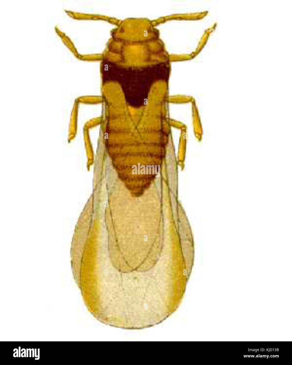 Problem farming Cut Out Stock Images & Pictures - Alamy