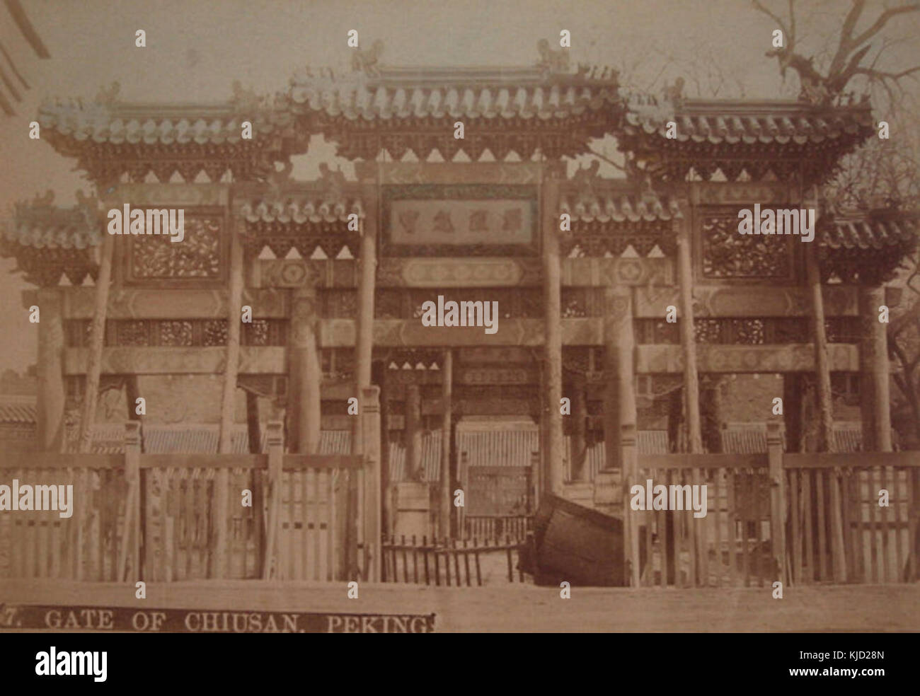 Fuyou hi-res stock photography and images - Alamy