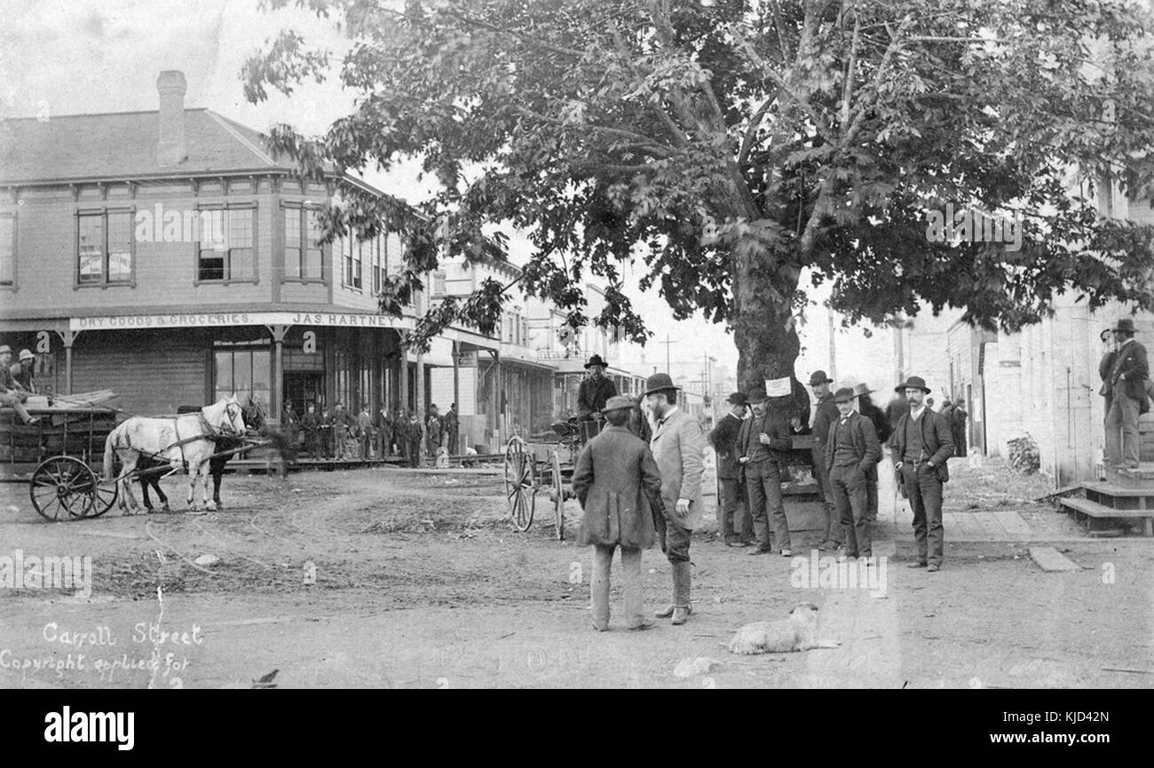 Maple Tree Corner Vancouver 1886 Stock Photo - Alamy