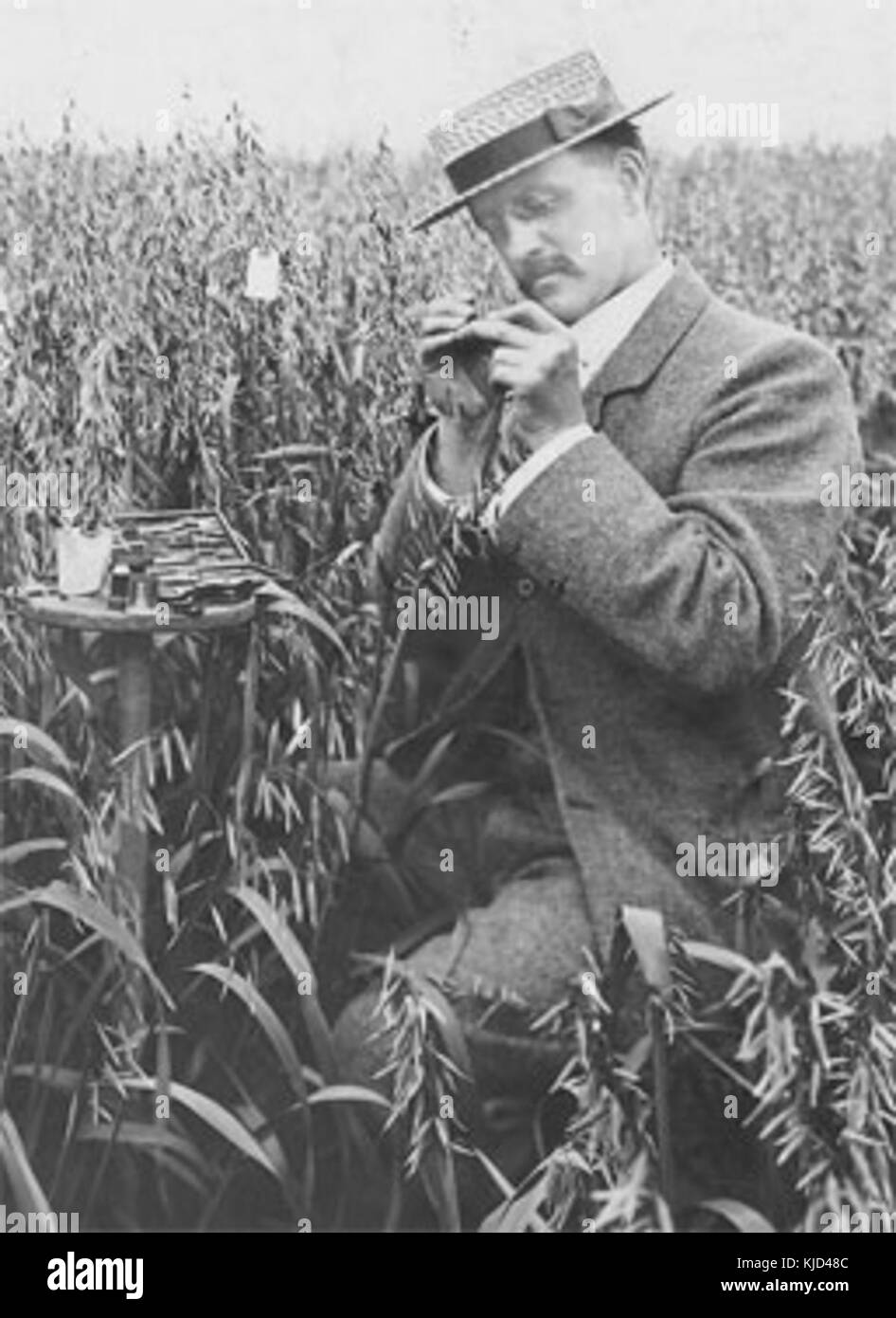 John Garton reduced 1 Stock Photo - Alamy