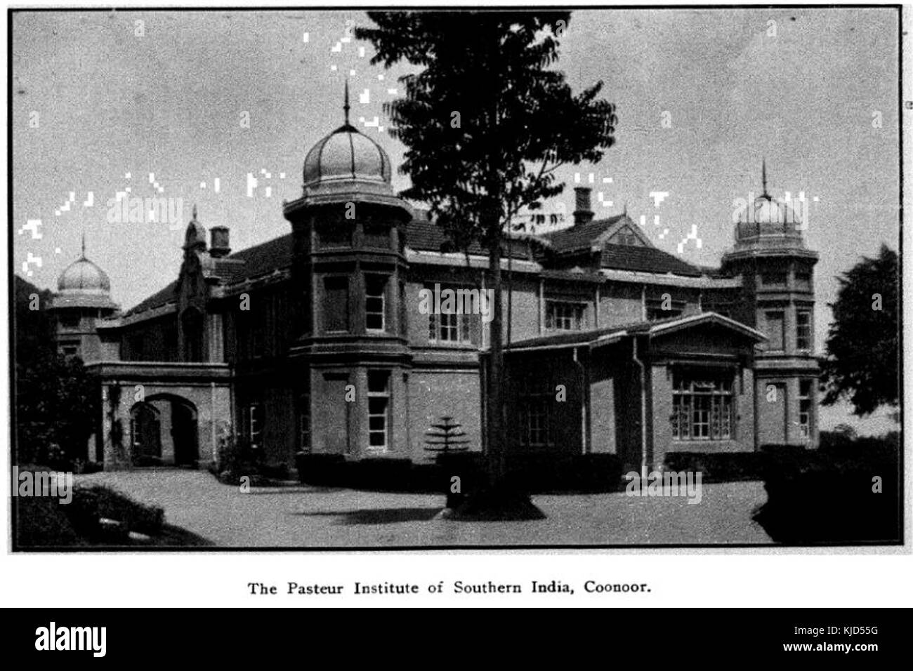 The Pasteur Institute in Coonoor is a scientific research institution ...