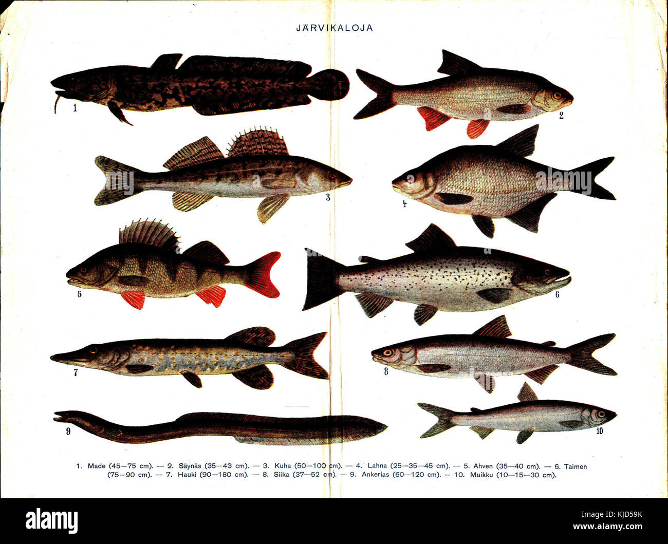 Sweetwater fish hi-res stock photography and images - Alamy