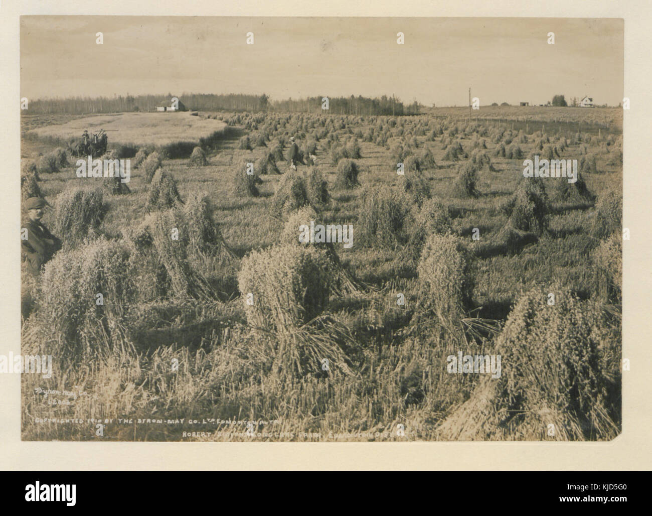 Canadian farm 1900s hi-res stock photography and images - Alamy