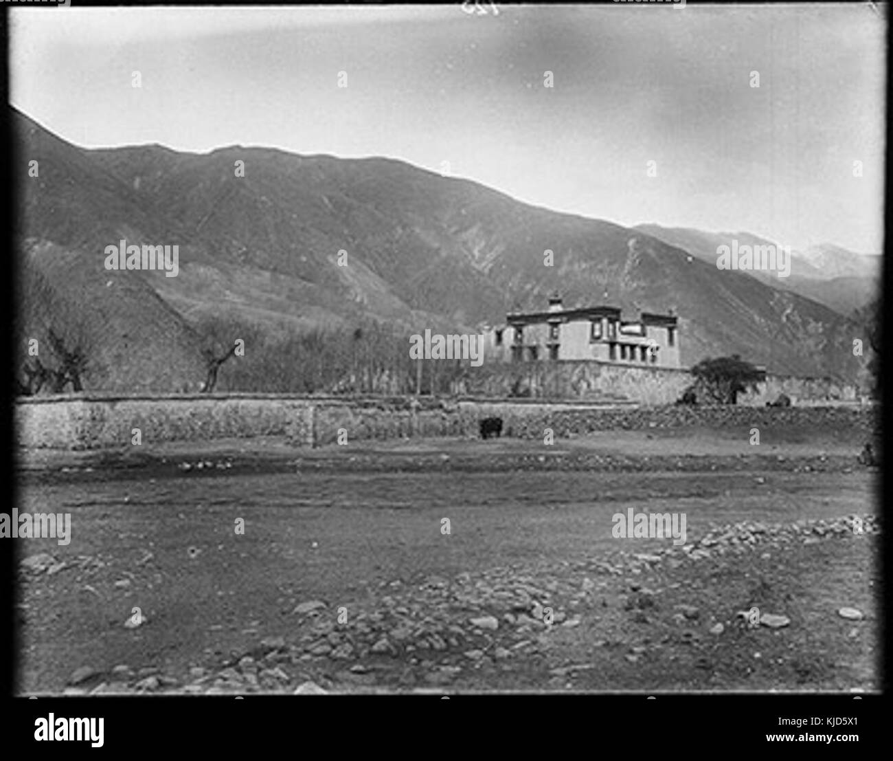 Shatra hi-res stock photography and images - Alamy