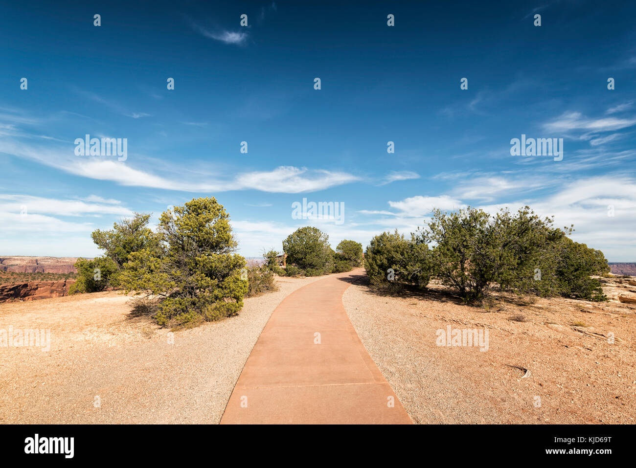 Path in sunny park Stock Photo - Alamy