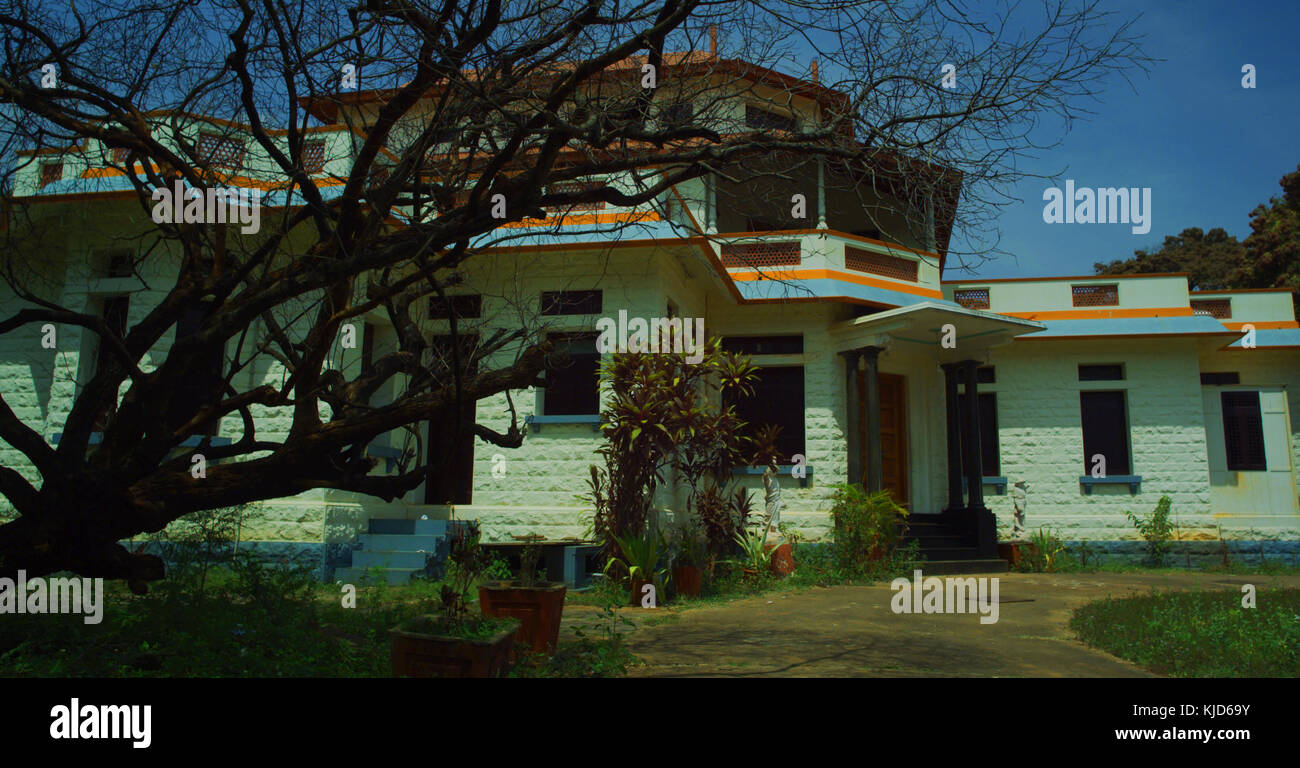 Spooky old haunted house with a dead tree Stock Photo - Alamy